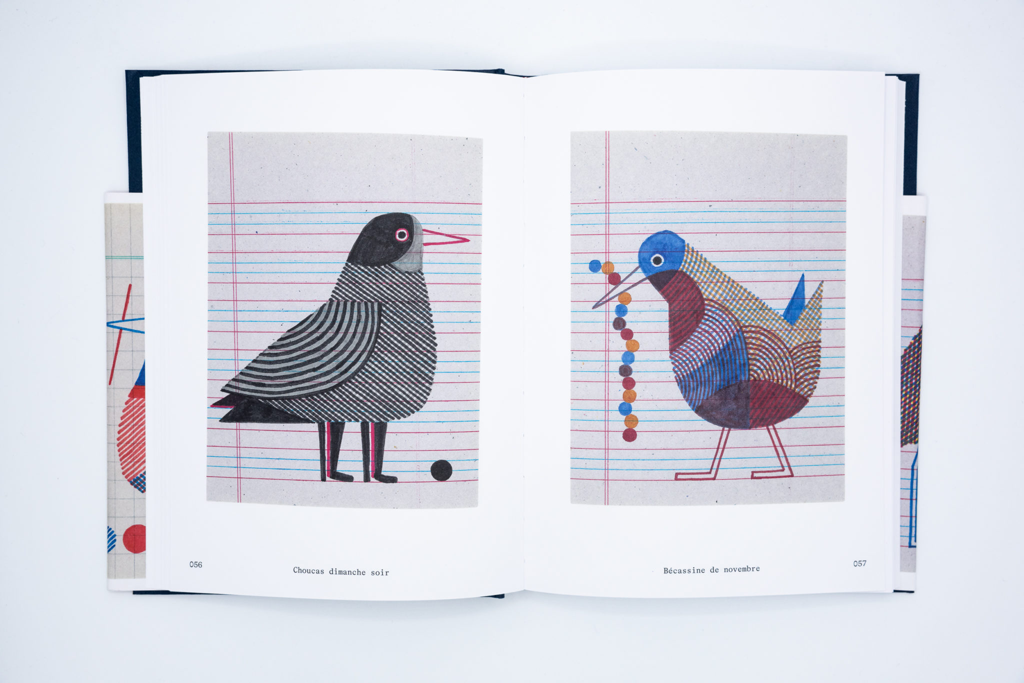 Oiseaux – Jochen Gerner – Peinture Fraiche