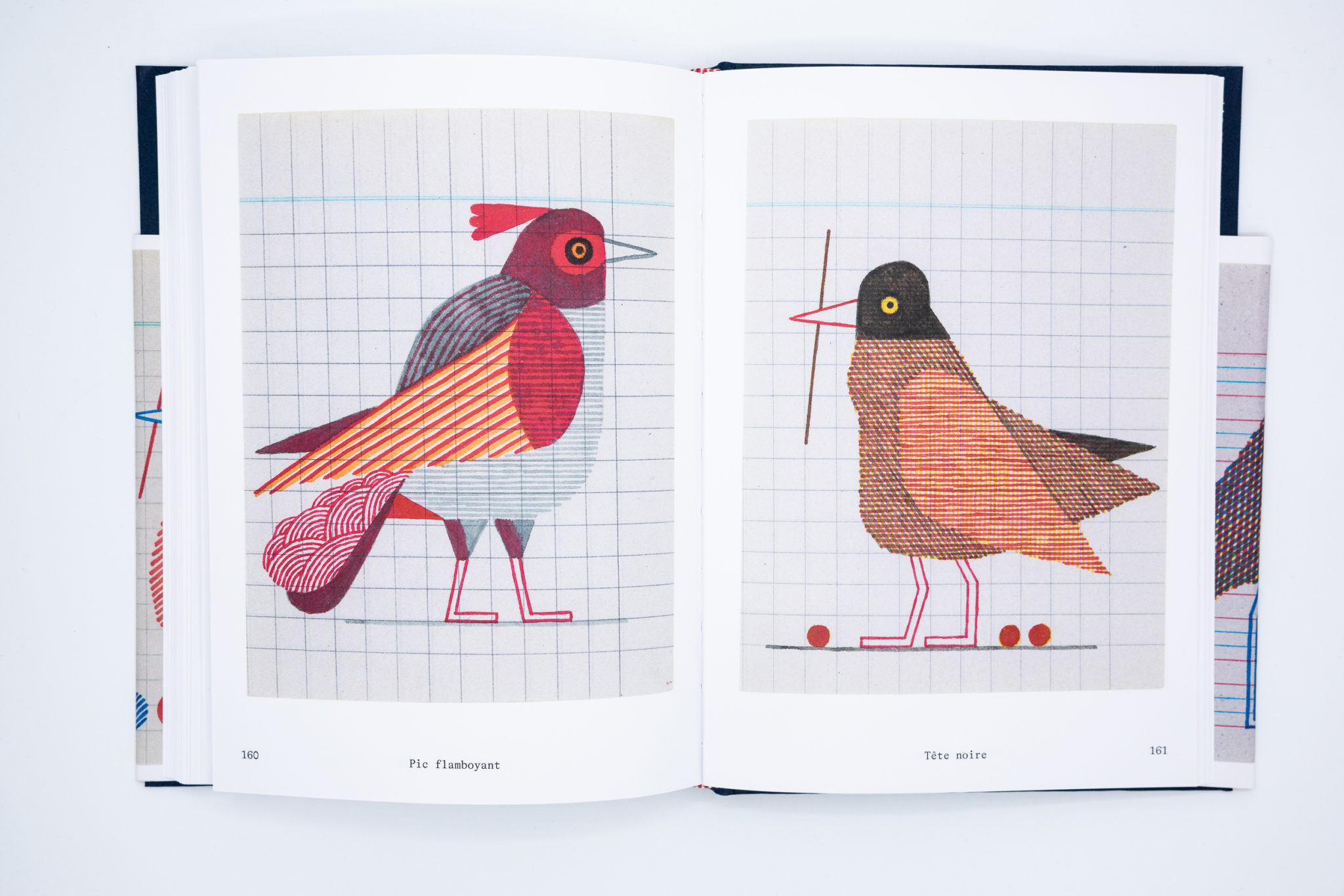 Oiseaux – Jochen Gerner – Peinture Fraiche