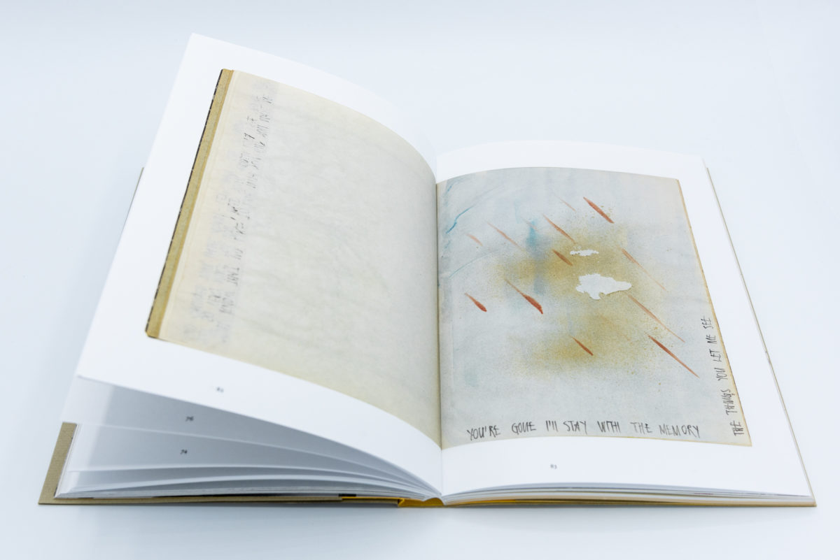 Hannah Villiger : Roma And Afterwards – Elisabeth Bronfen, Gioia Dal ...