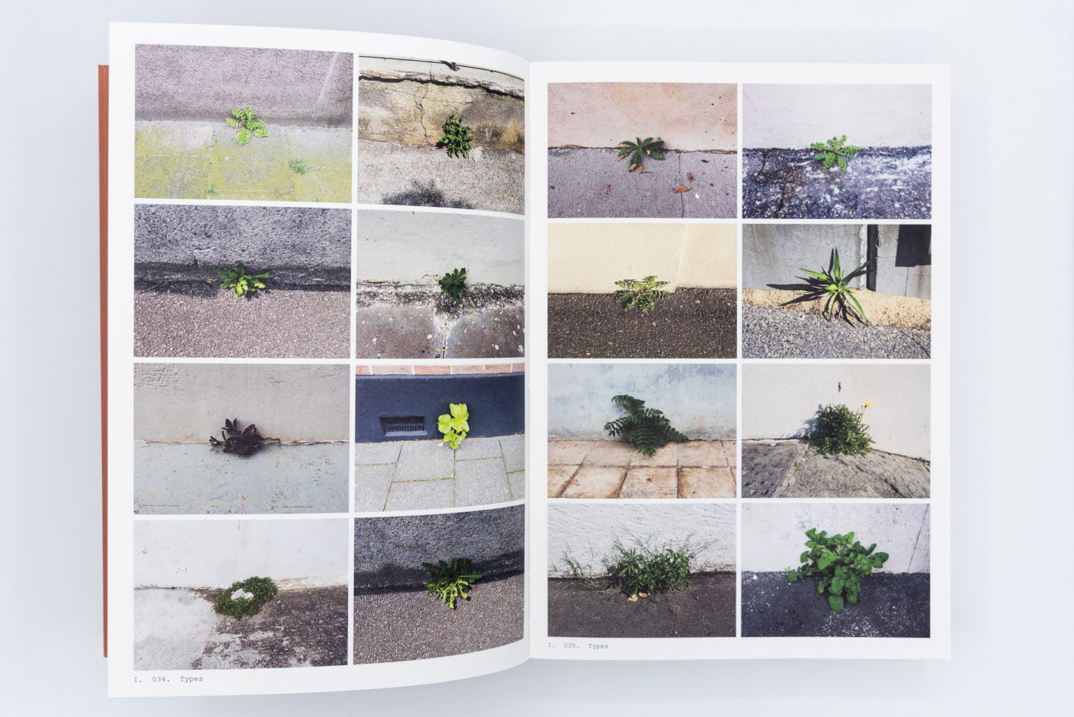 Book Of Plants – Anne Geene – Peinture Fraiche