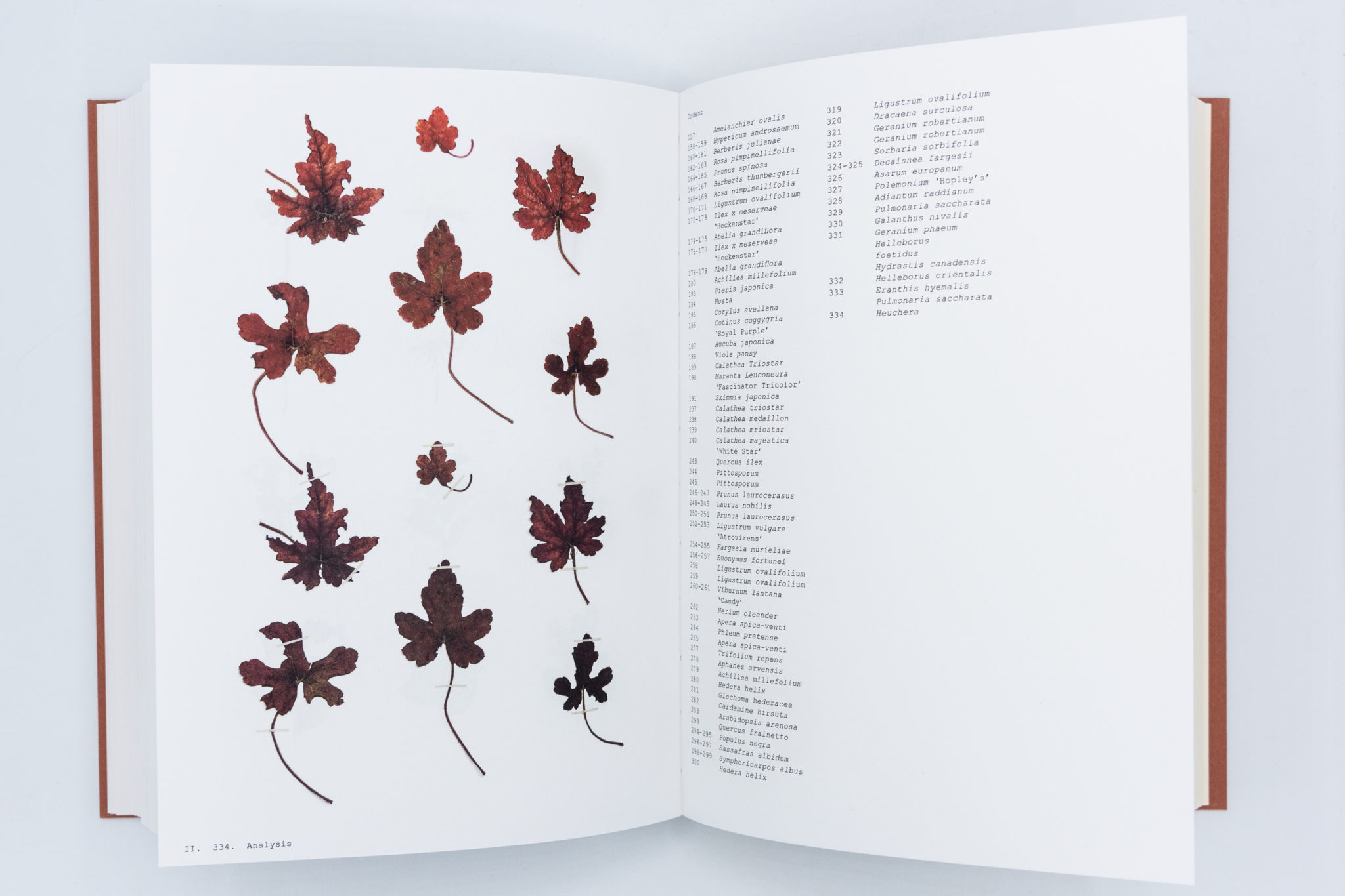 Book Of Plants – Anne Geene – Peinture Fraiche