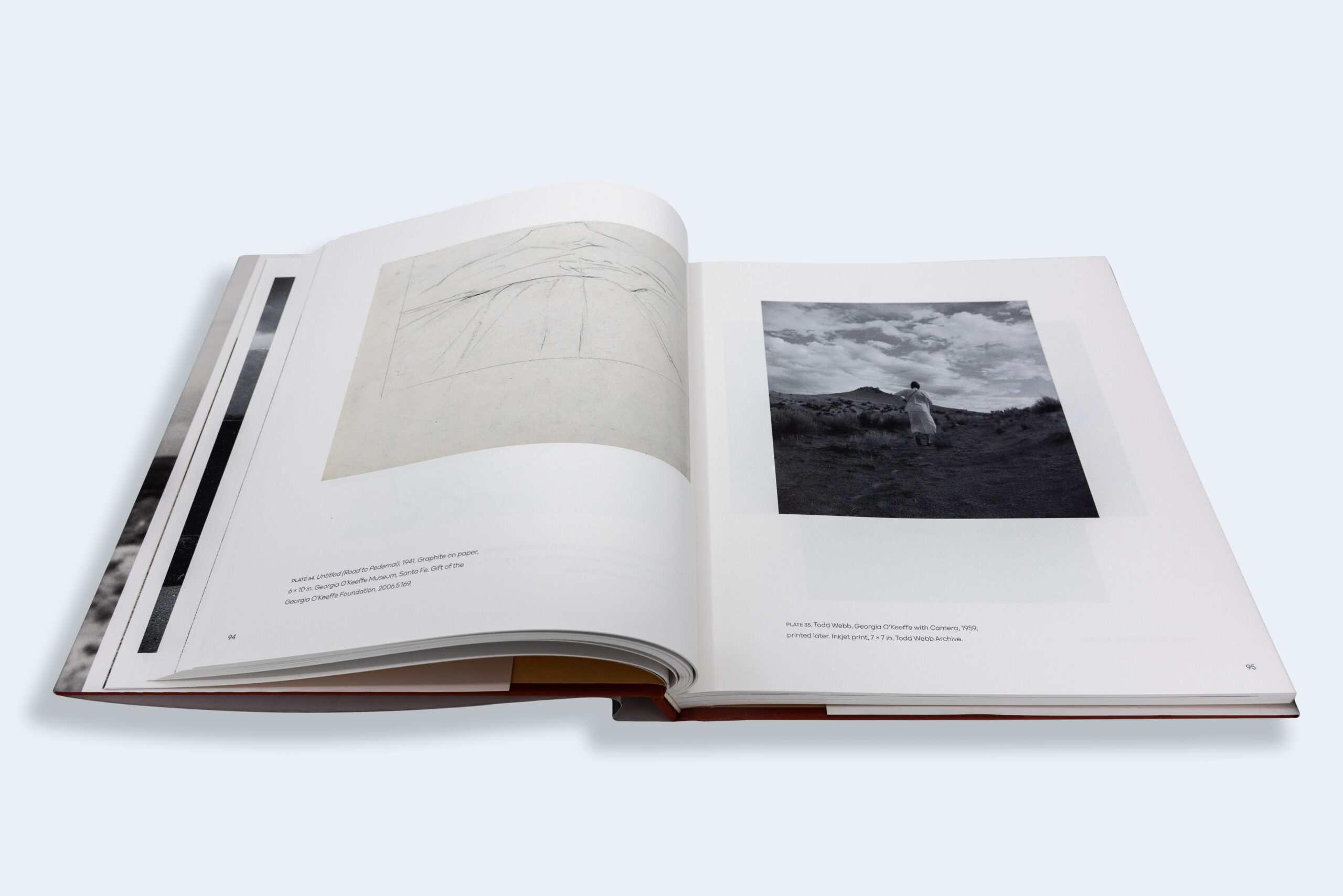 Georgia O’Keeffe : Photographer – Lisa Volpe – Peinture Fraiche