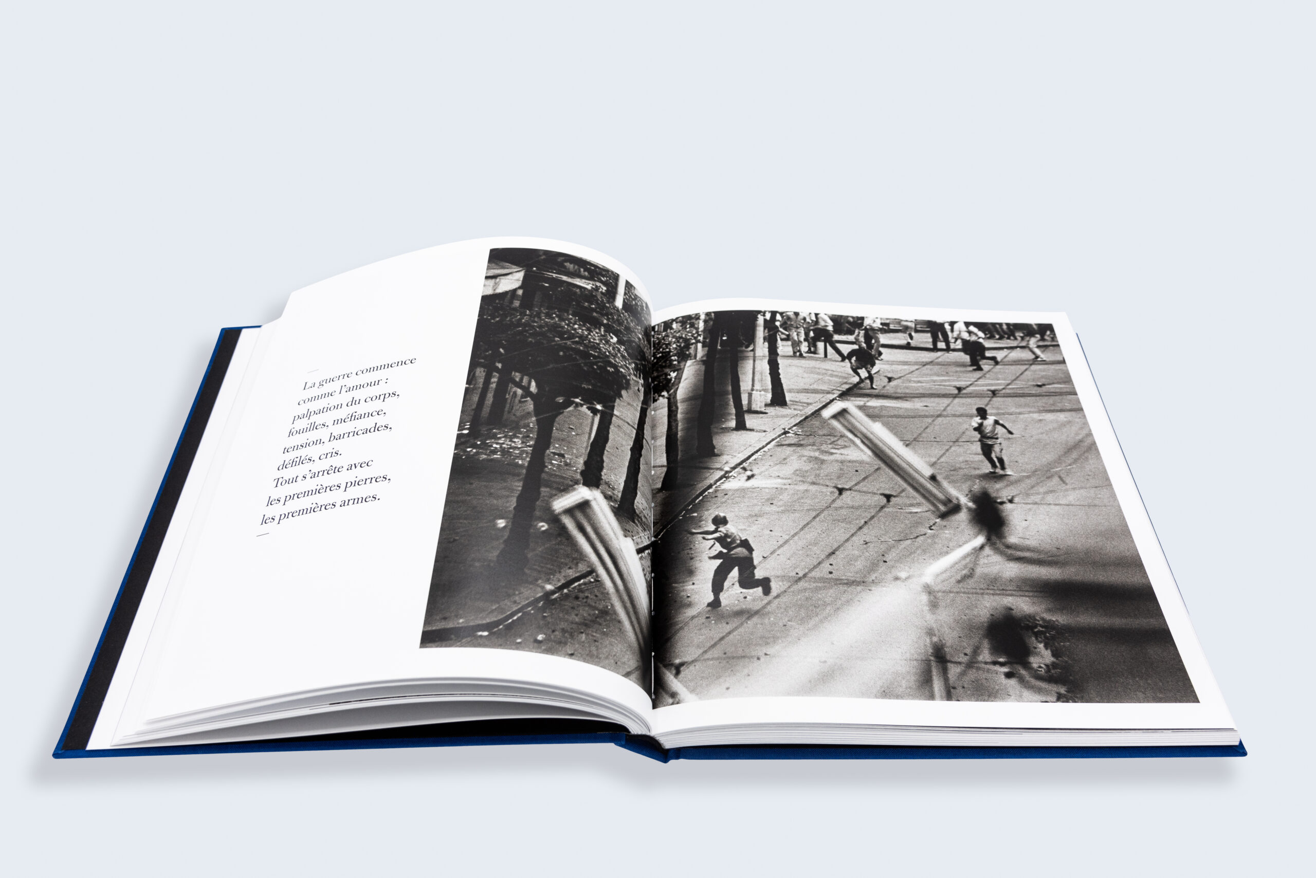 Son œil dans ma main – Raymond Depardon, Kamel Daoud – Peinture Fraiche