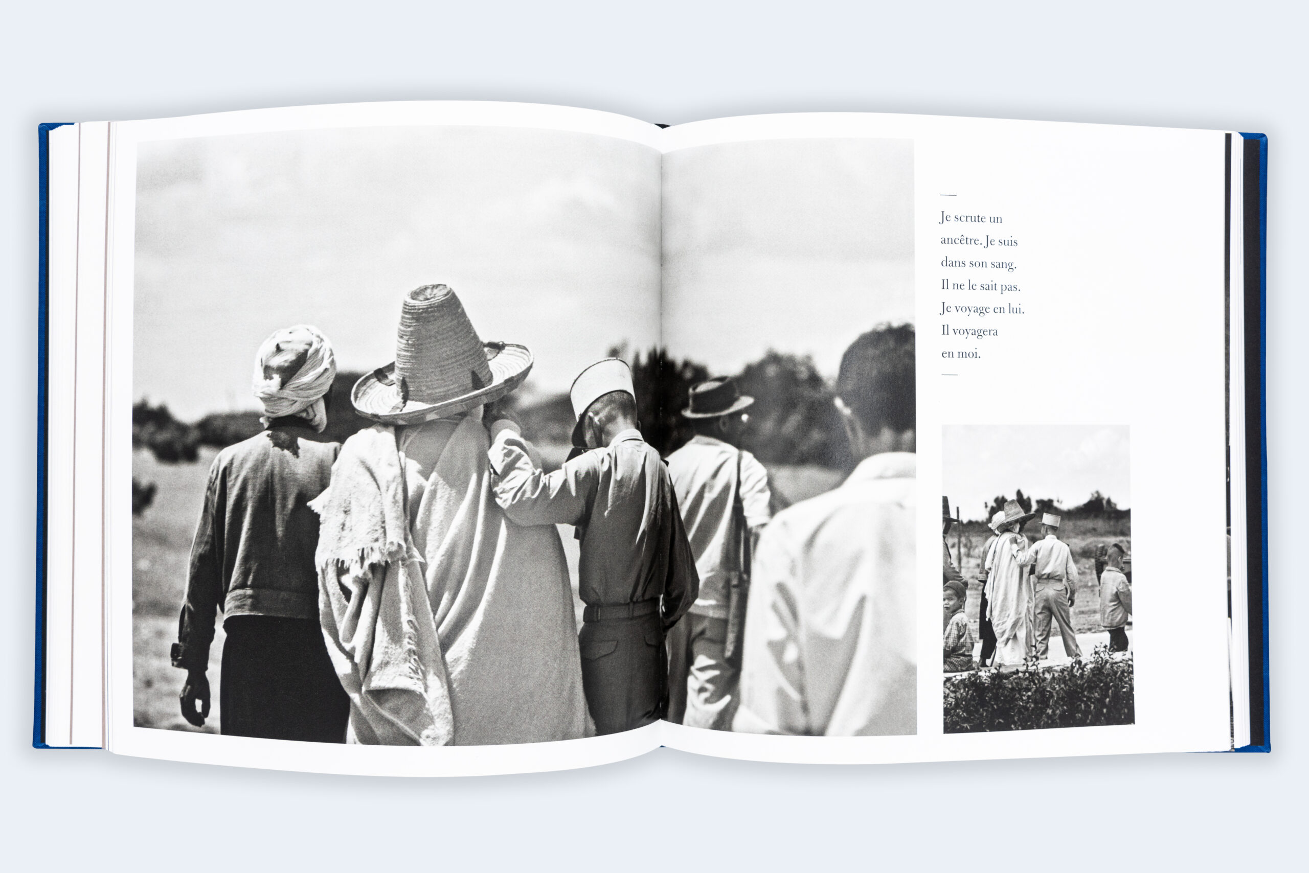 Son œil dans ma main – Raymond Depardon, Kamel Daoud – Peinture Fraiche