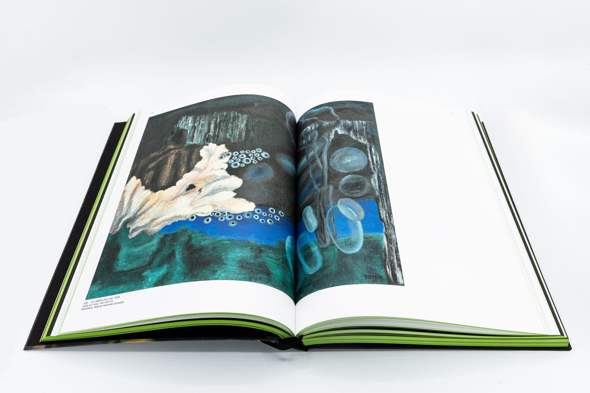 Toyen: L’écart absolu – Annie Le Brun, Anna Pravdova, Annabelle Görgen ...