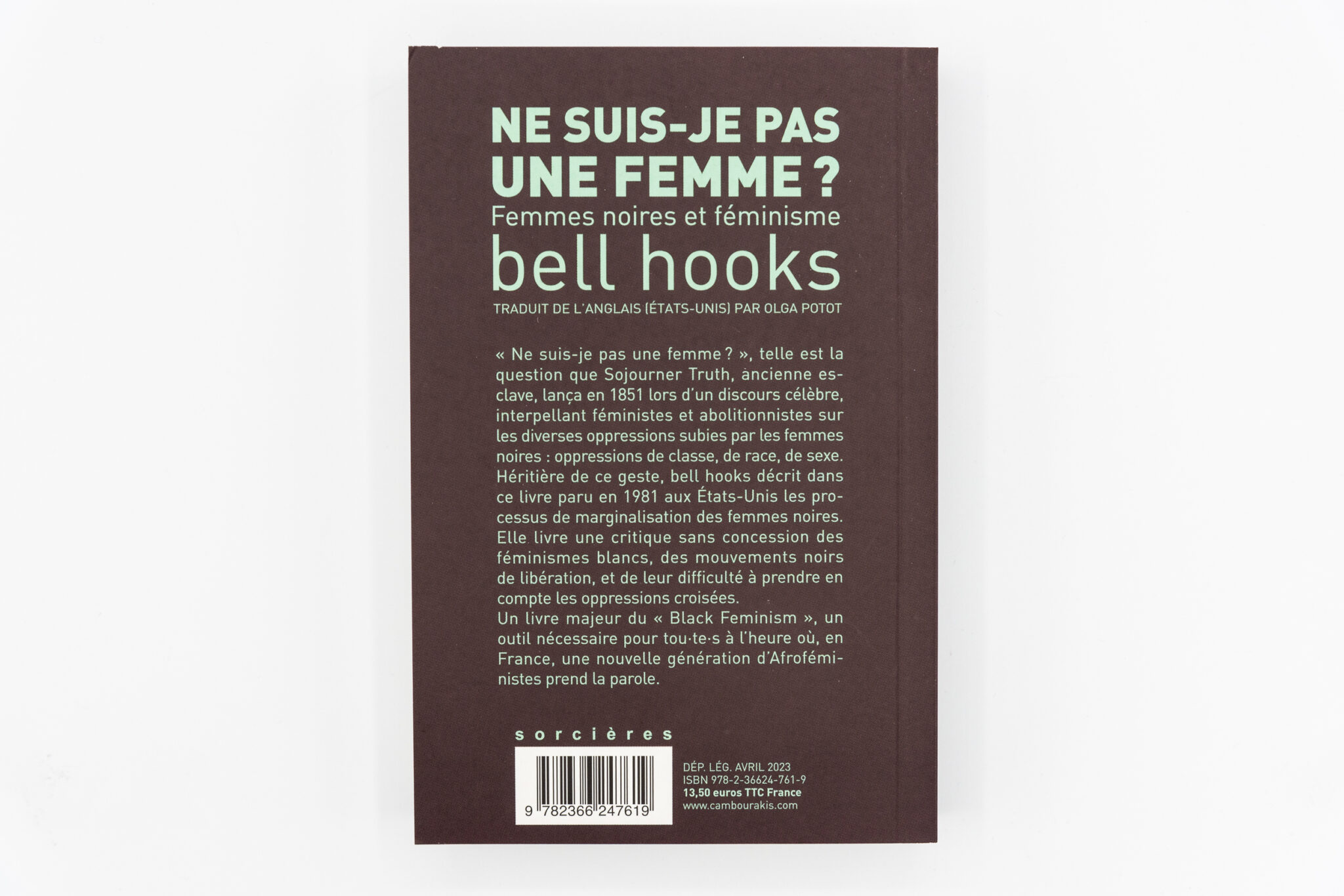 Ne suis-je pas une femme ? – bell hooks – Peinture Fraiche