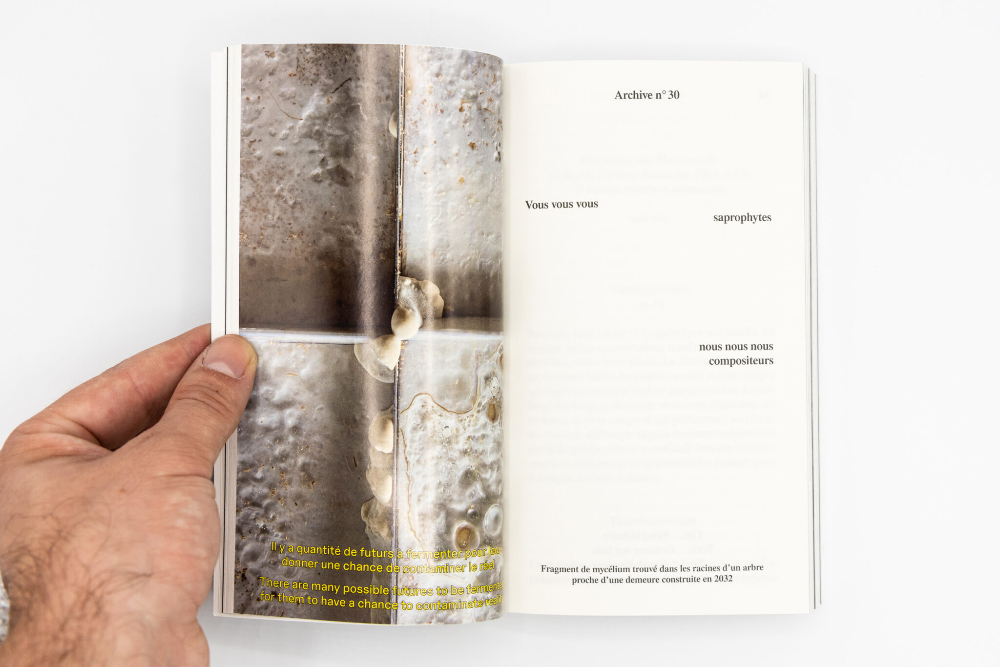 Demeurer en Mycélium – Vinciane Despret, Christine Aventin, Juliette ...